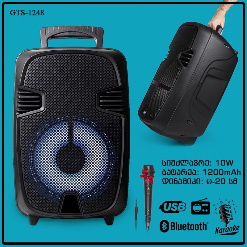 Bluetooth დინამიკი მიკროფონით OEM GTS-1248 – ყიდვა ყველაზე იაფად ან განვადებით